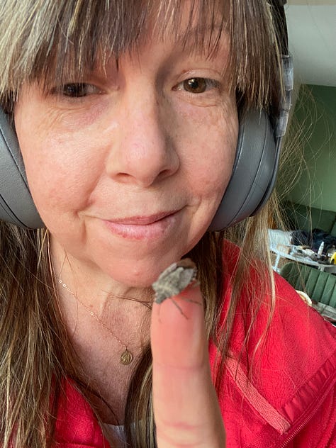 How God's creatures and unmistakable signs helped me learn so many of ...