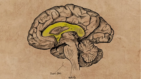 The Biological Horror of Vampires - by Thought Potato