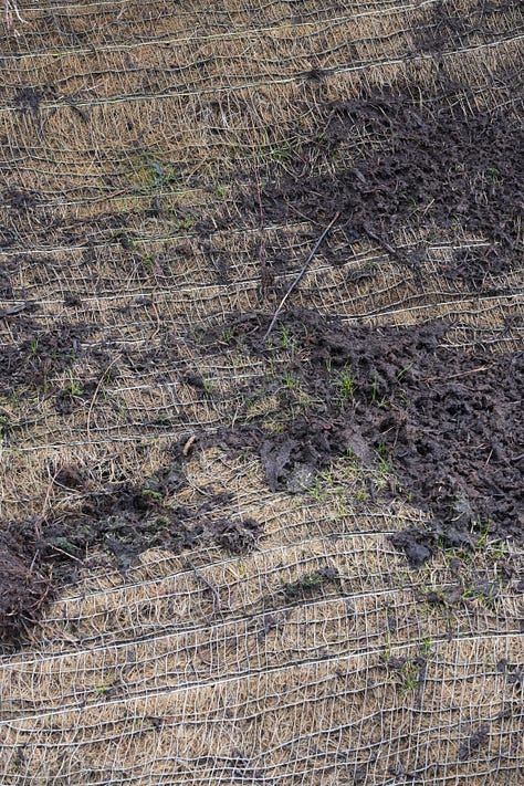 Peat blanket bog restoration in the Yorkshire uplands