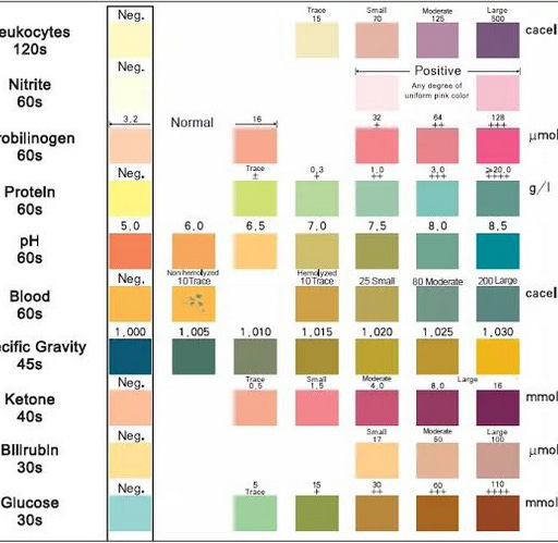 How to interpret a urine dipstick result