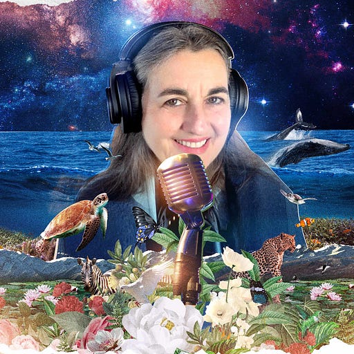 Ep #12 | Michelle Dowd | Forager