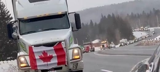 Natural Selections | Heather Heying | Substack