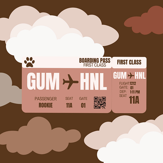 From street dog to supermodel: Boonie dog finds loving home in Hawaii