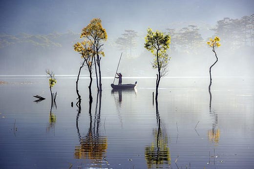 Aging Well Newsletter | Janice Walton | Substack