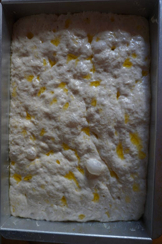 From the Desk of Alicia Kennedy | Substack