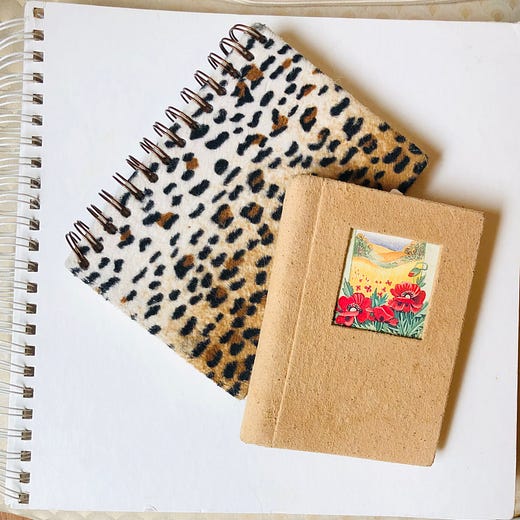 Noted | Jillian Hess | Substack