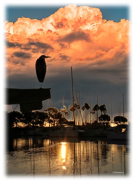 Lucid | Ruth Ben-Ghiat | Substack