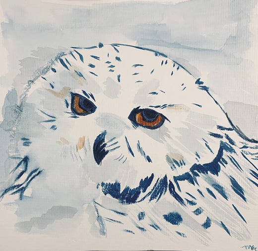 Art by Cacciapaglia | Mary Cacciapaglia | Substack