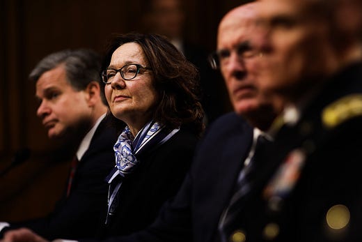 Public | Michael Shellenberger | Substack