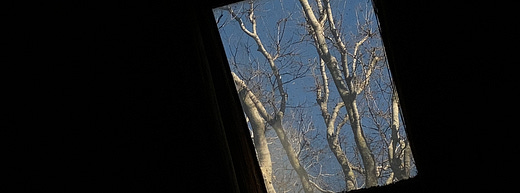 Team McComas | Wade McComas | Substack