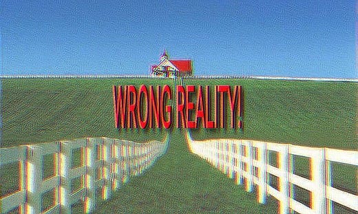 Kyla’s Newsletter | kyla scanlon | Substack