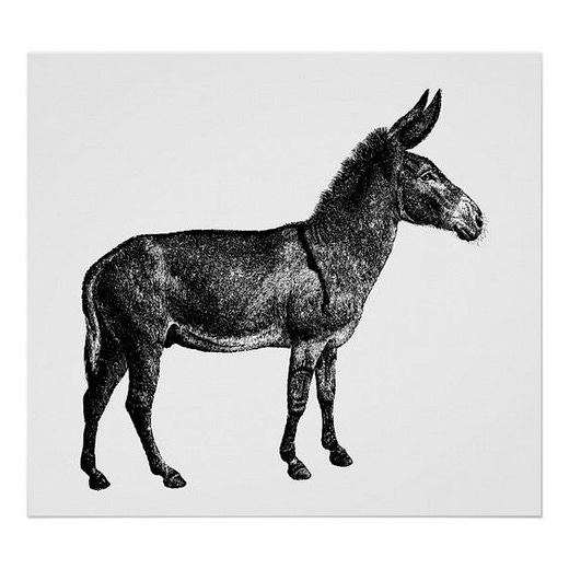 Coisas Ocultas | Rafael Henrique Censon | Substack