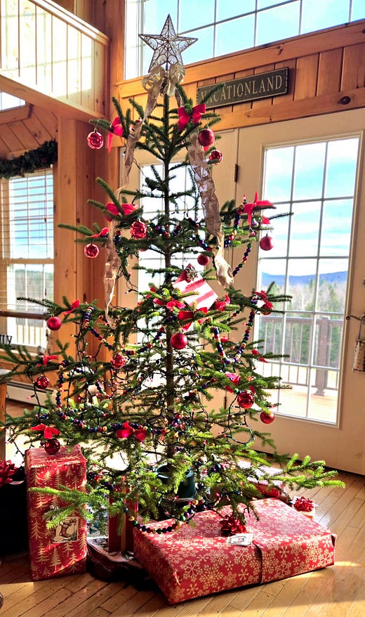 Fresh Eggs Daily | Lisa Steele | Fresh Eggs Daily | Substack