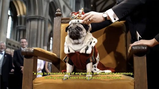 One Useful Thing | Ethan Mollick | Substack