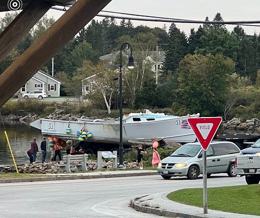 The Crash Report | Substack