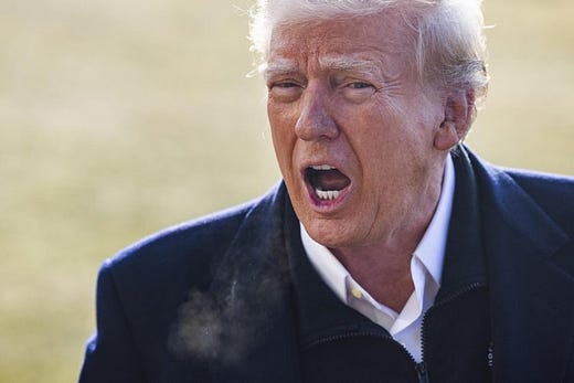 Sandra Rodríguez Cotto | Substack