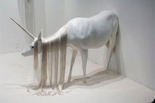 dead wife status | Dylan | Substack