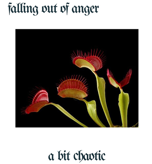 a bit chaotic | Carole Kupper | Substack