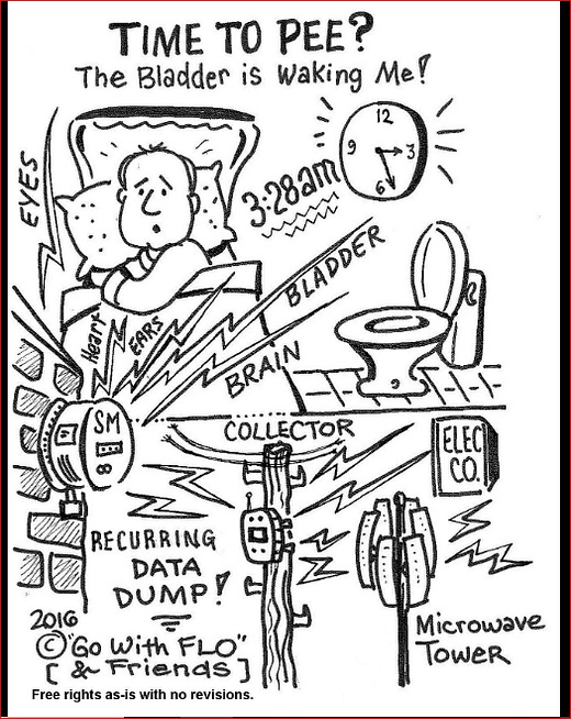 Smart Meter Science | Patricia Burke | Substack