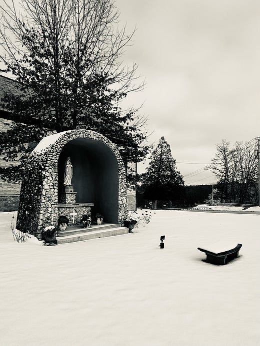 Dispatches From the Basement | Joseph Massey | Substack