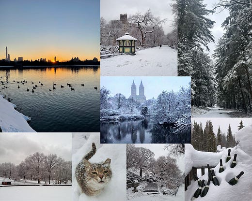 HABITUALLY CHIC | Substack