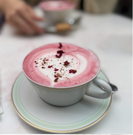 CLiuAnon | Catherine Liu | Substack