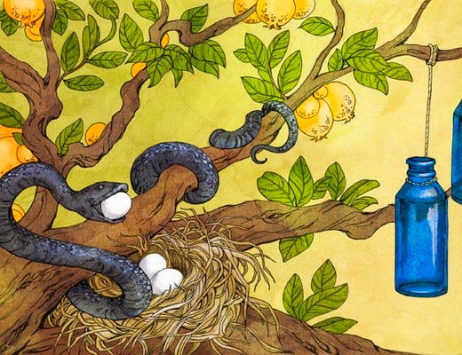 The Orange & Bee | Substack