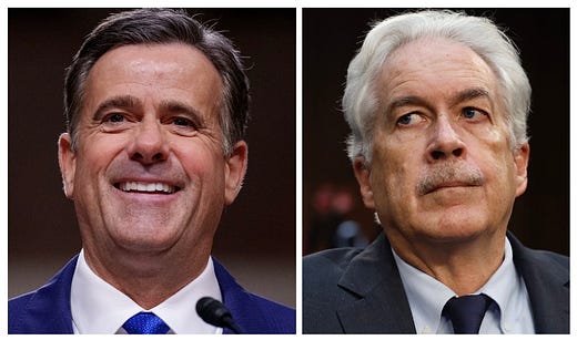 Public | Michael Shellenberger | Substack