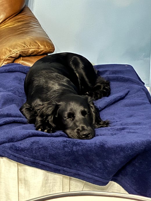 Youier | El Edwards | Substack