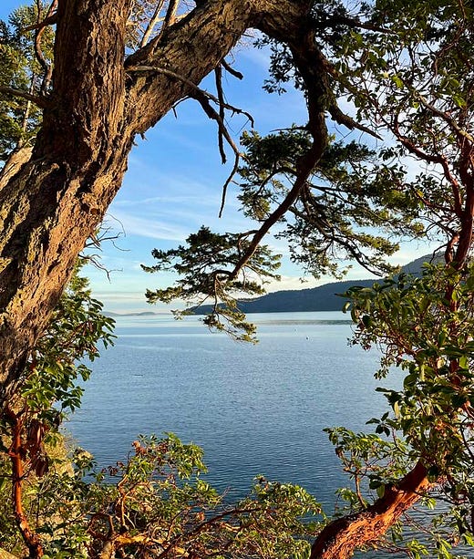 Carrie's Bench | Carrie Craig | Substack