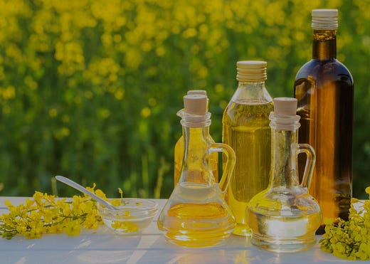 ImmunoLogic | Dr. Andrea Love | Substack