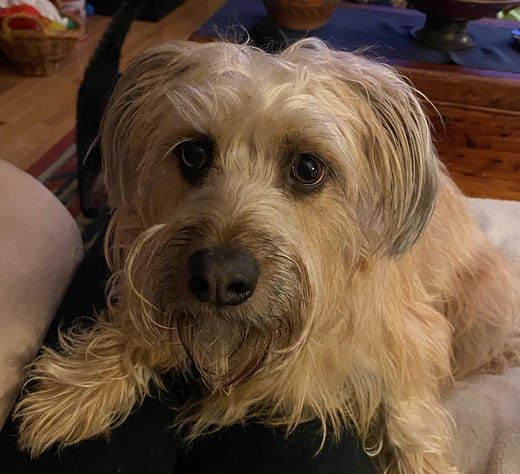 The Positive Pen | John Rinaldo | Substack