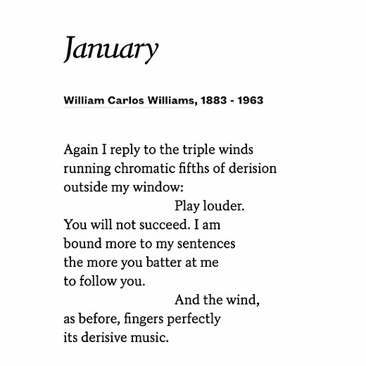 Poetry Today | Maya C. Popa | Substack