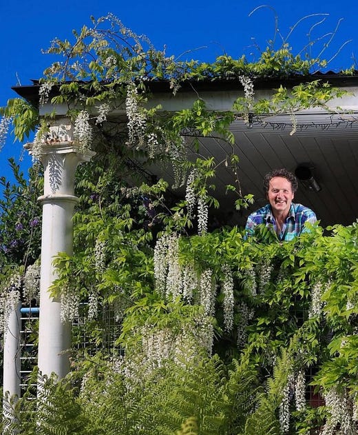 Joie De Vivre | Lisa Dawson | Substack