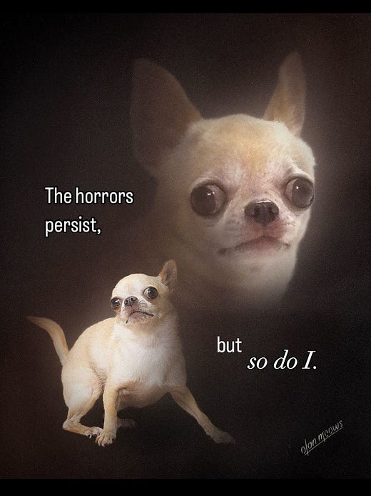 CEBV Weekly | Melinda Merkel Iyer | Substack