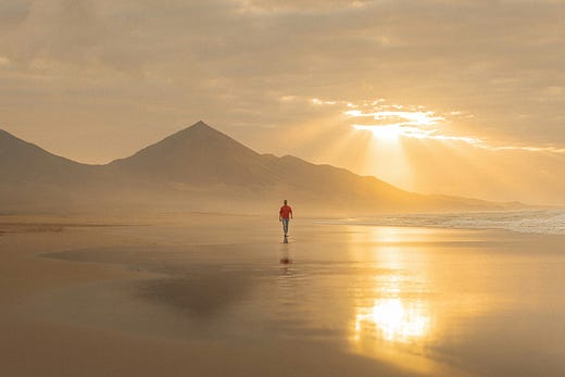 Alice by the Palm | Almer Alice He | Substack