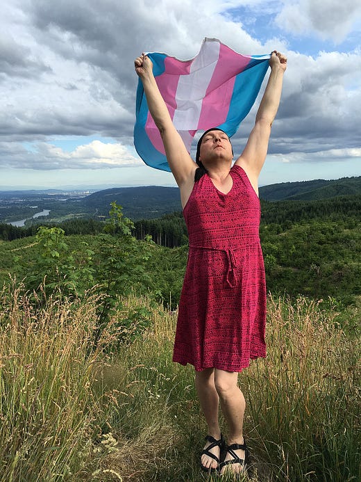 Vet found hanging draped in trans flag - by Zero 🌈🏳️‍⚧️