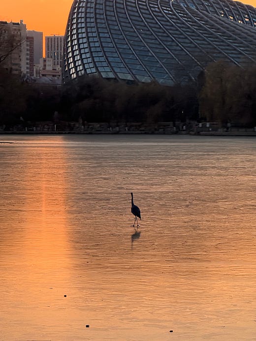 CLiuAnon | Catherine Liu | Substack