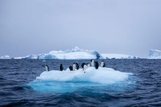 Wade Burleson at Istoria | Substack