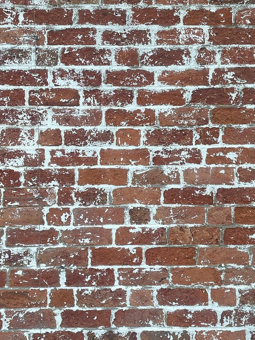 Archive - Pinebrookcap's Substack