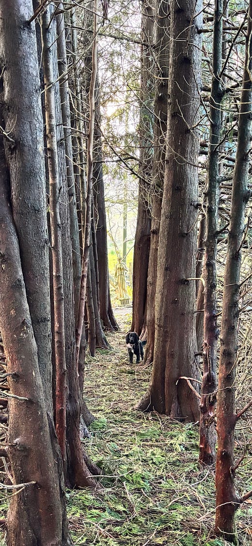 Youier | El Edwards | Substack