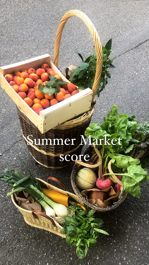 The Camont Journals with Kate Hill | Substack