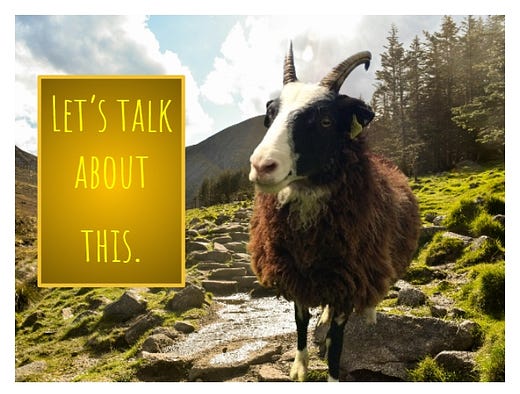 Lit Mag News | Becky Tuch | Substack