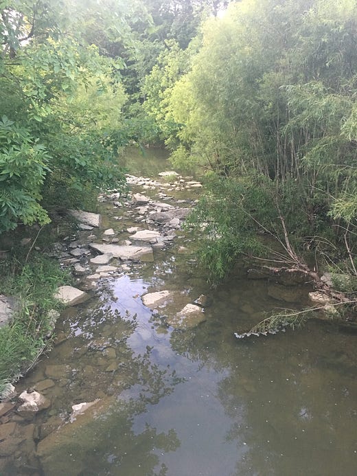 Pantsuit Politics | Substack