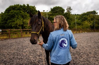 Curious Equestrian | Theresa | Substack