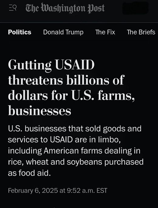 Wide Awake America with Nadine Smith | Substack