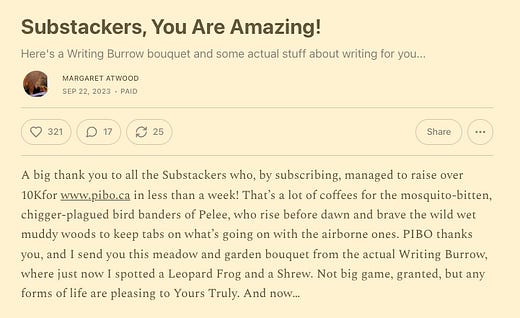 Linda's Substack | Linda @ Substack | Substack