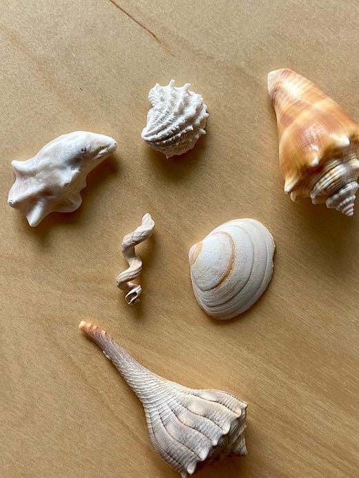 Golden Nurture | Emily Smith | Substack