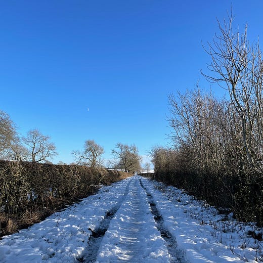 The Year of Less went viral again