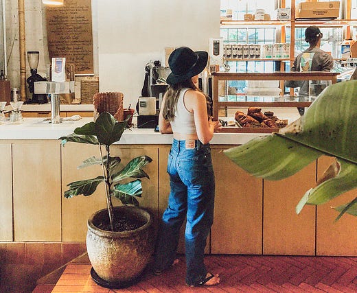 the wanderer | Johnna | Substack